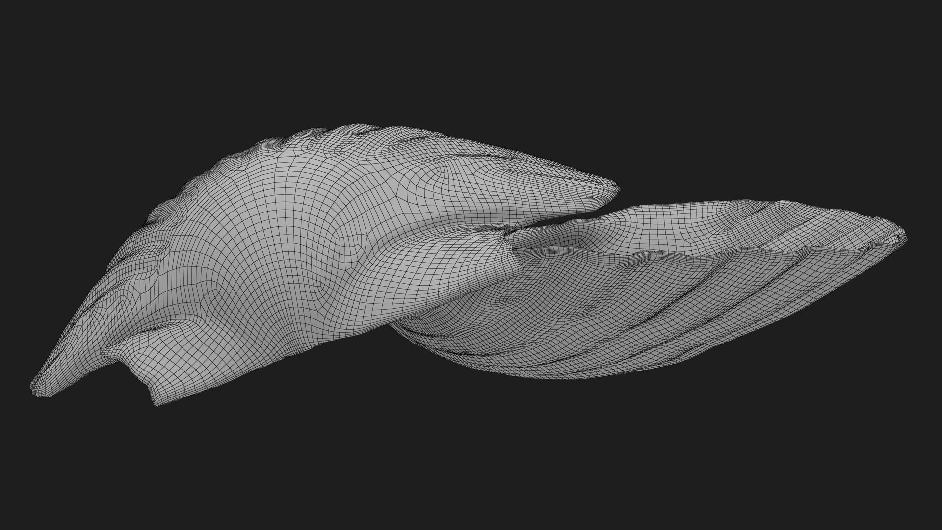 3D Clam Shell 01 Pose 2 - TurboSquid 2227629