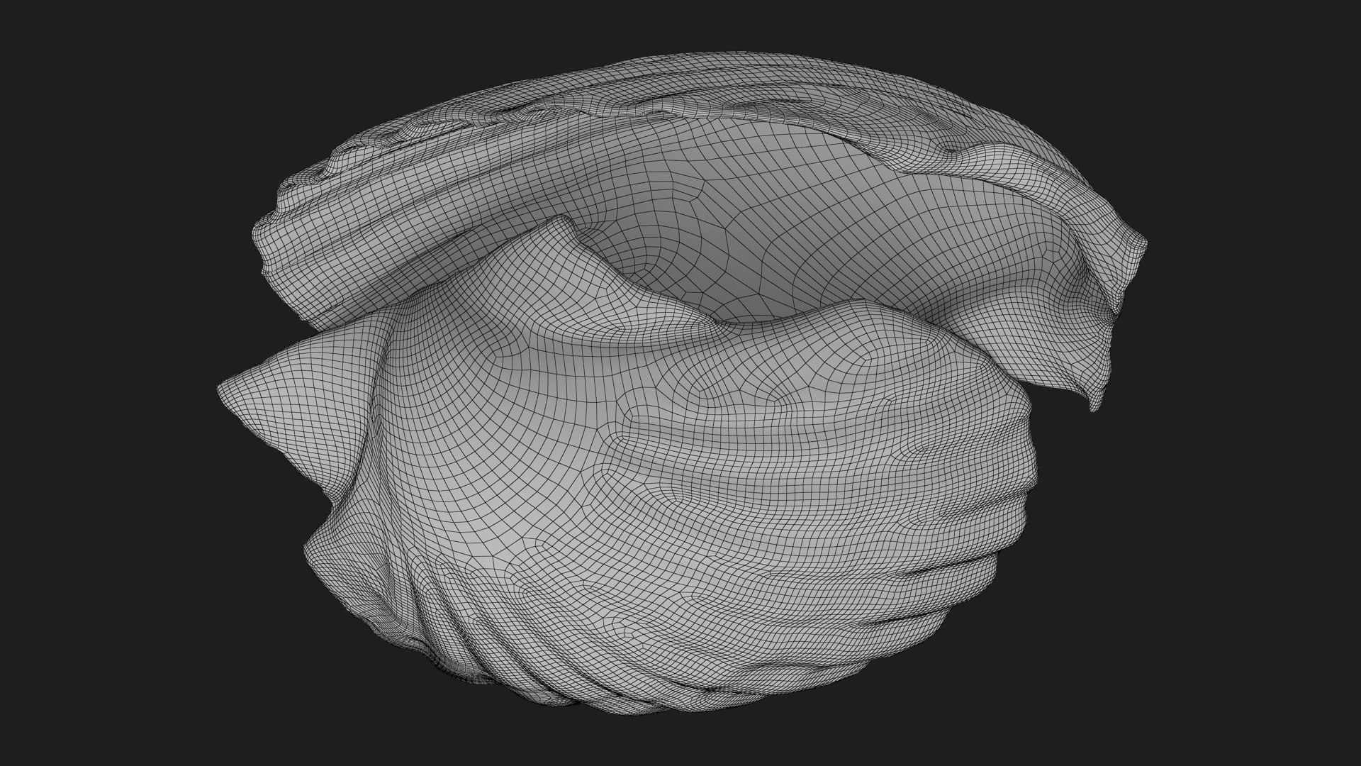 3D Clam Shell 01 Pose 2 - TurboSquid 2227629
