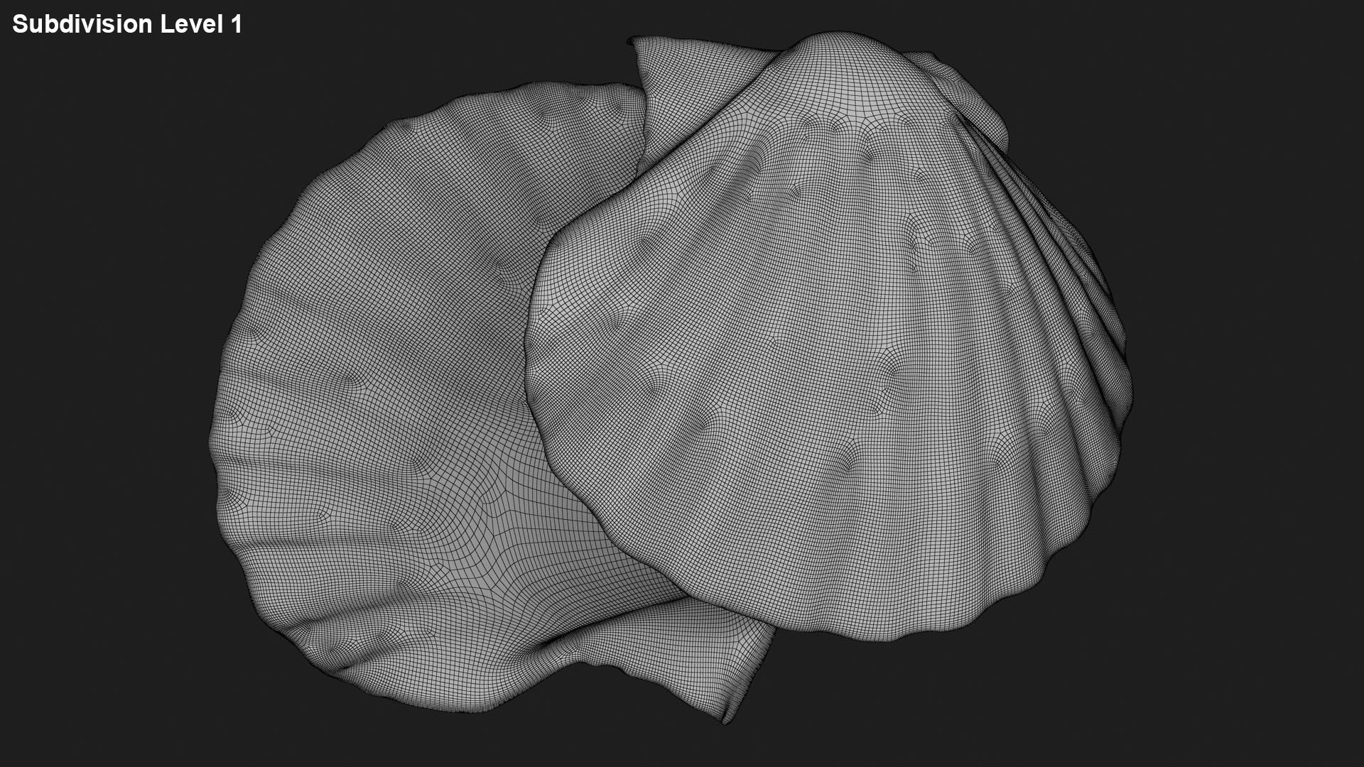 3D Clam Shell 01 Pose 2 - TurboSquid 2227629