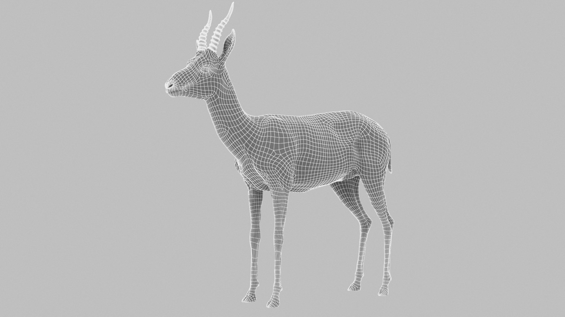 Wild Animals 3D Model - TurboSquid 1758966