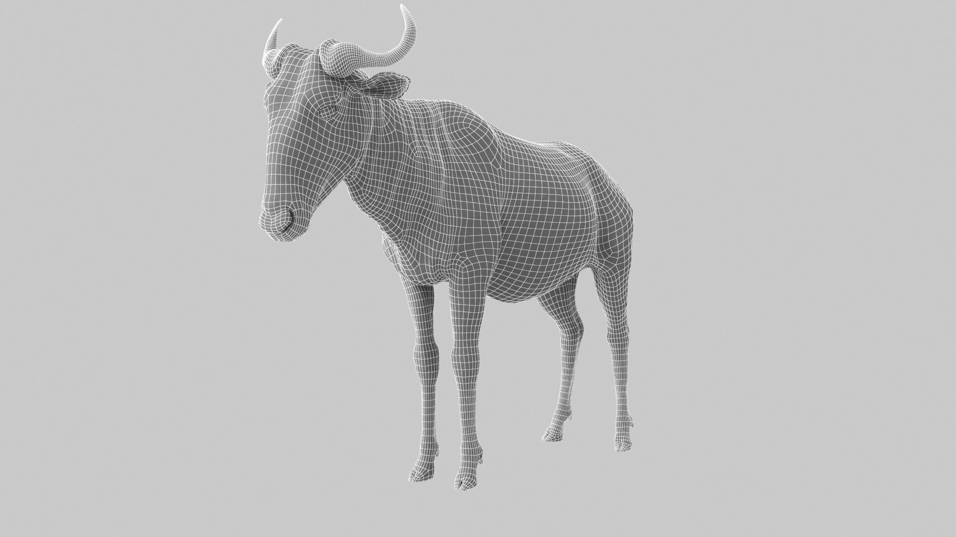 Wild Animals 3D Model - TurboSquid 1758966