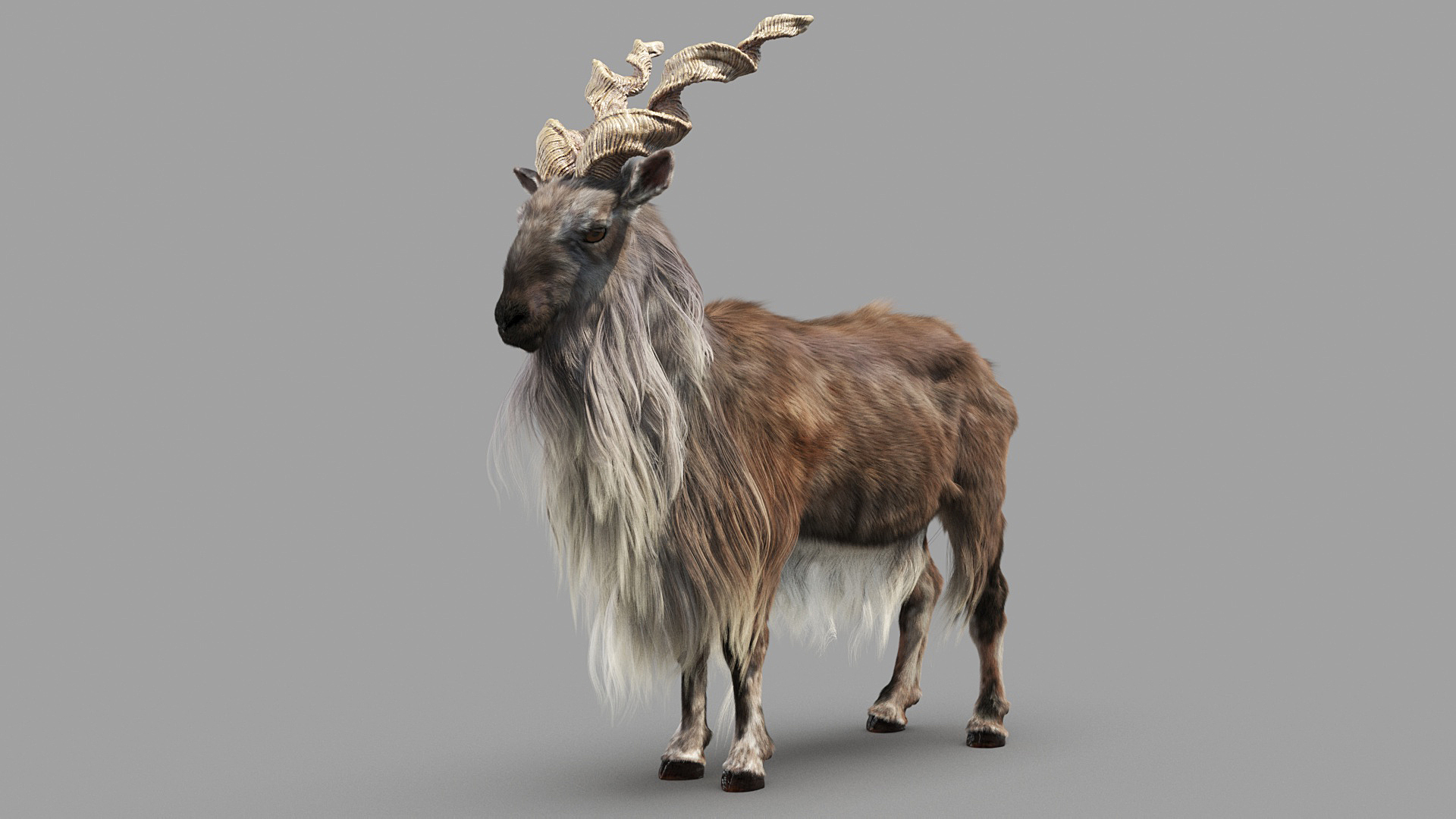 Wild Animals 3D Model - TurboSquid 1758966