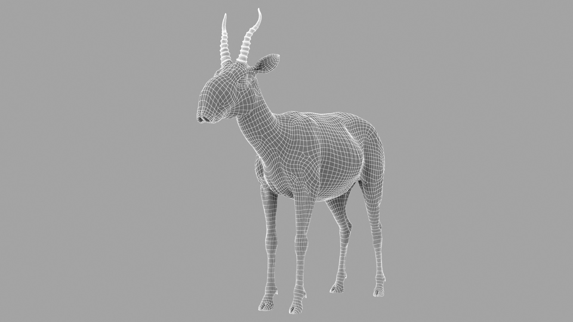 Wild Animals 3D Model - TurboSquid 1758966