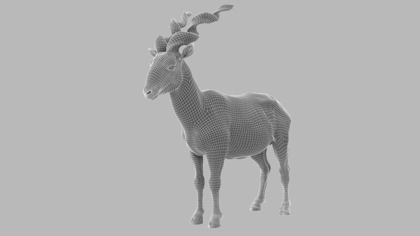 modelo 3d Animales salvajes - TurboSquid 1758966