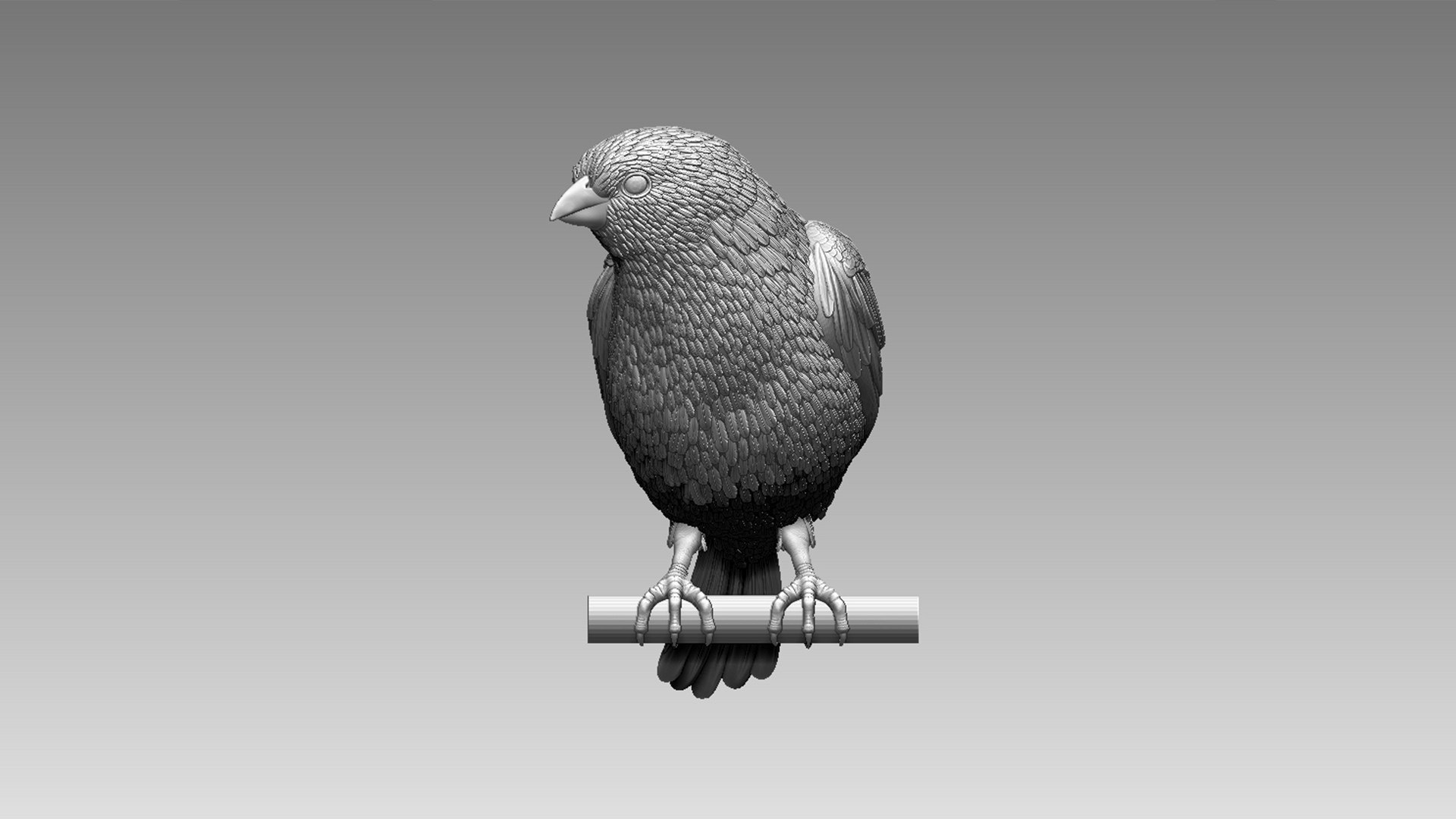 3D Bird Model - TurboSquid 2125028