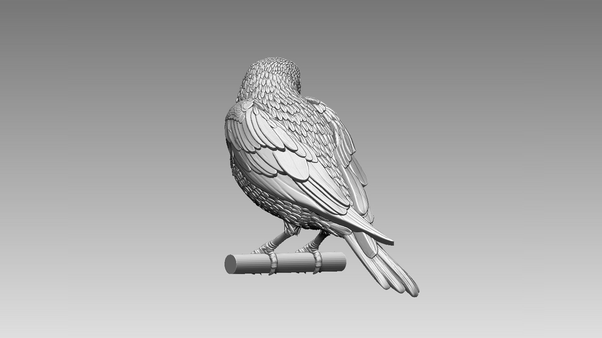 3D bird model - TurboSquid 2125028