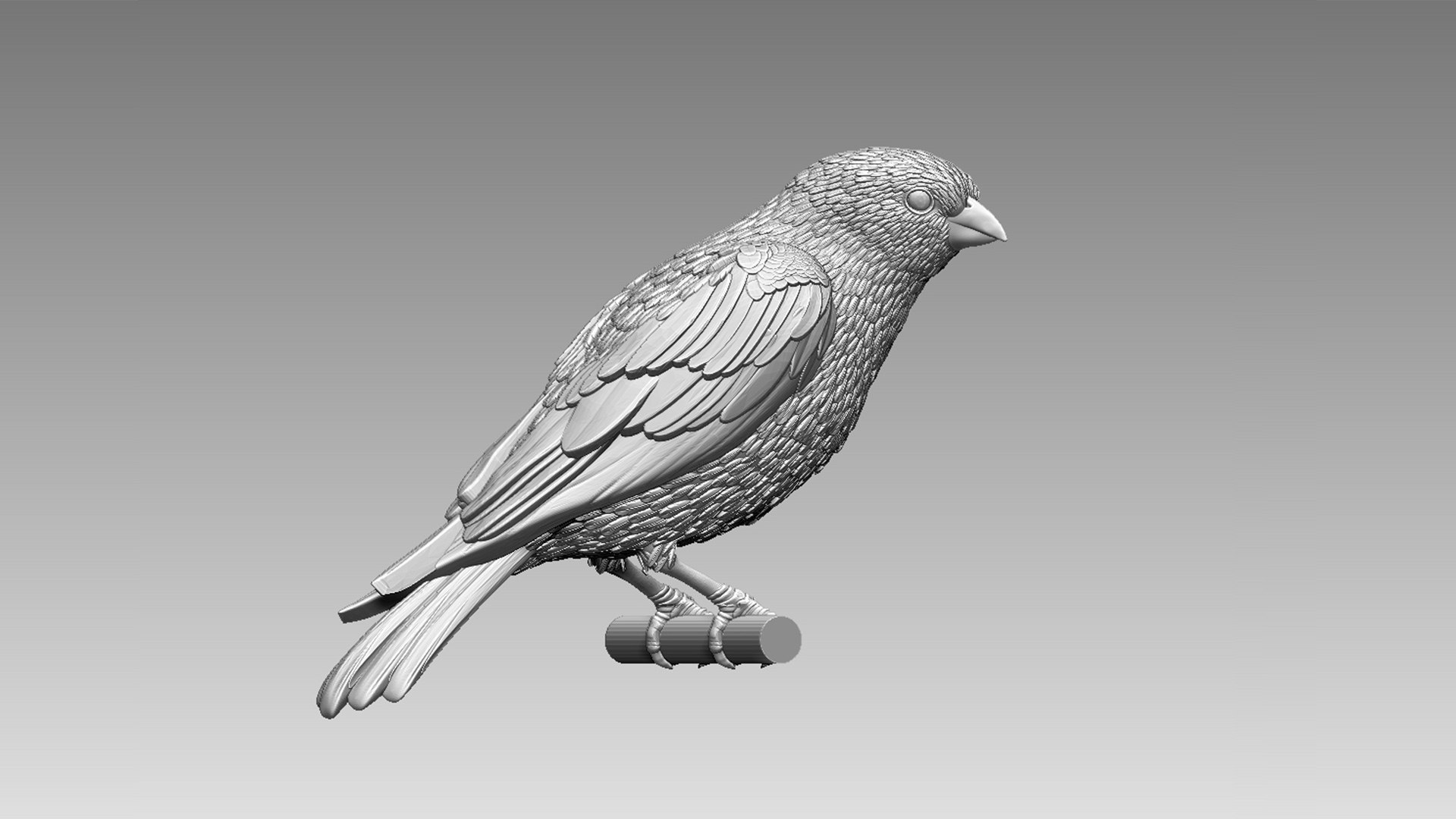 3D Bird Model - TurboSquid 2125028
