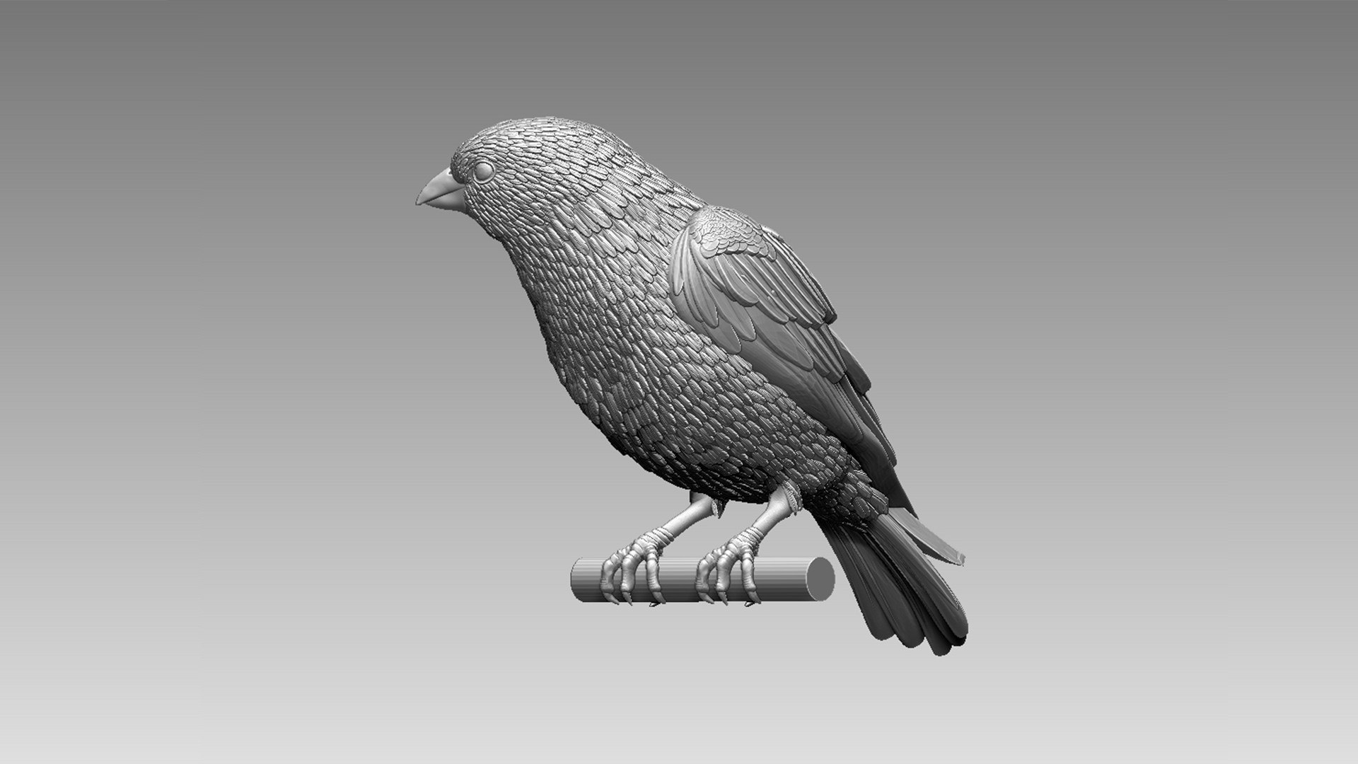 3D Bird Model - TurboSquid 2125028