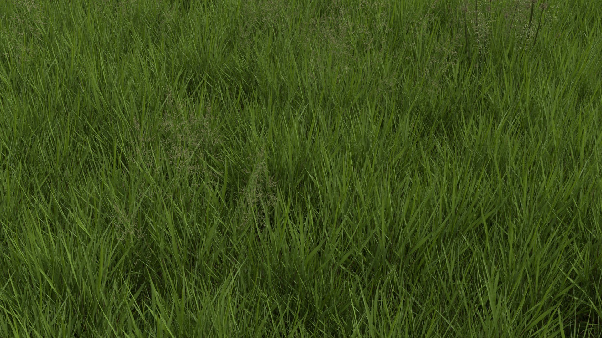 3D REALISTIC GRASS - TurboSquid 2117911