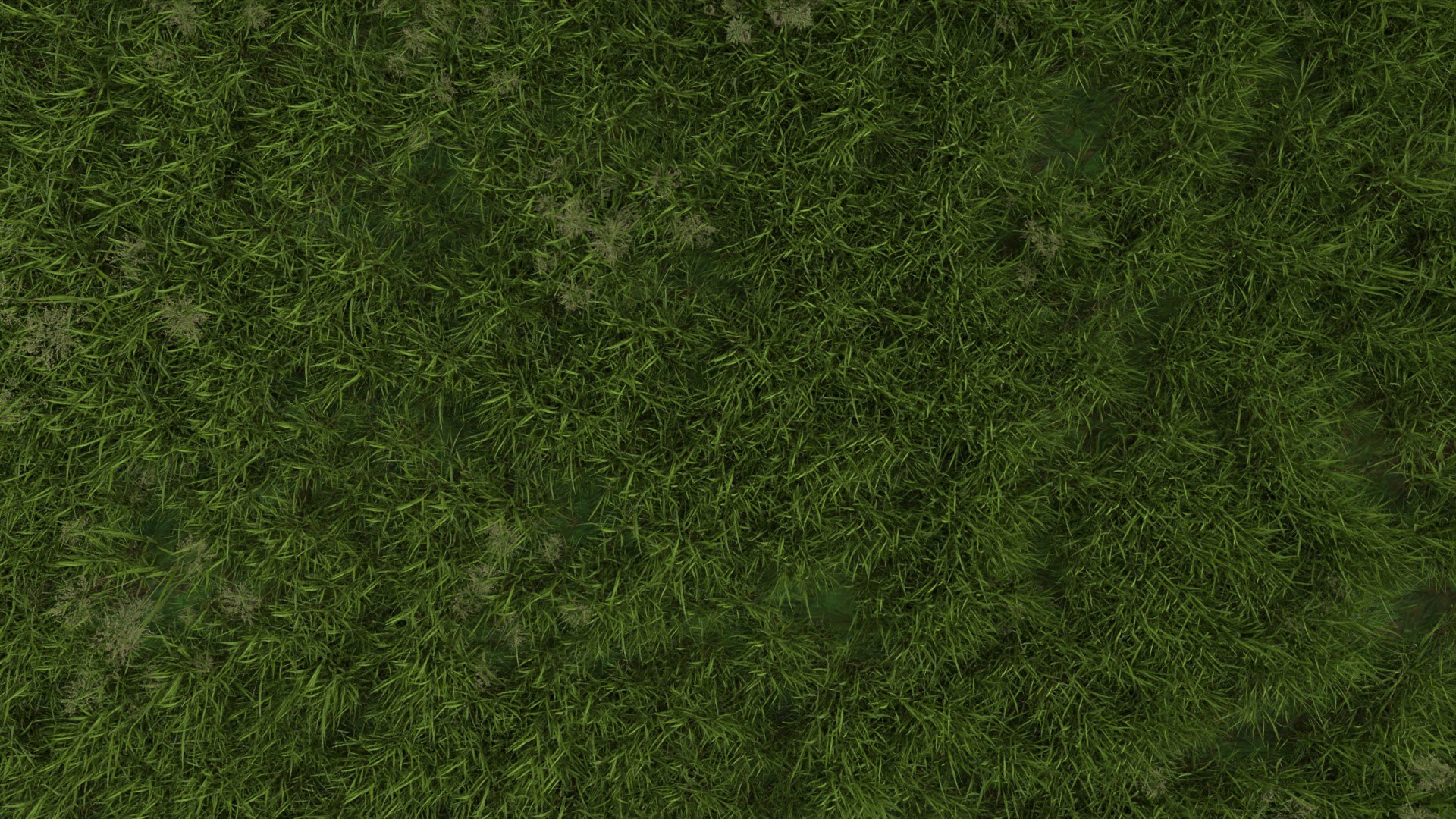 3D REALISTIC GRASS - TurboSquid 2117911
