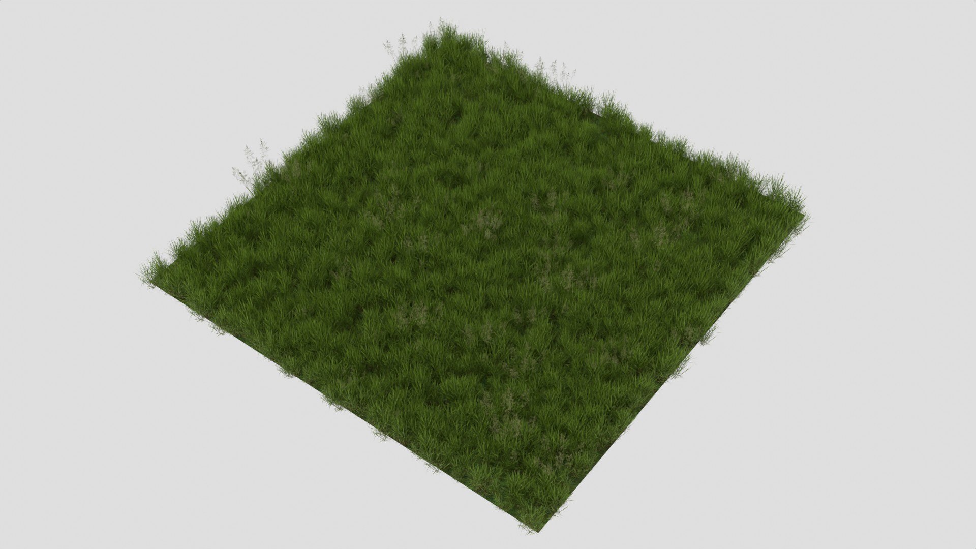 3D REALISTIC GRASS - TurboSquid 2117911