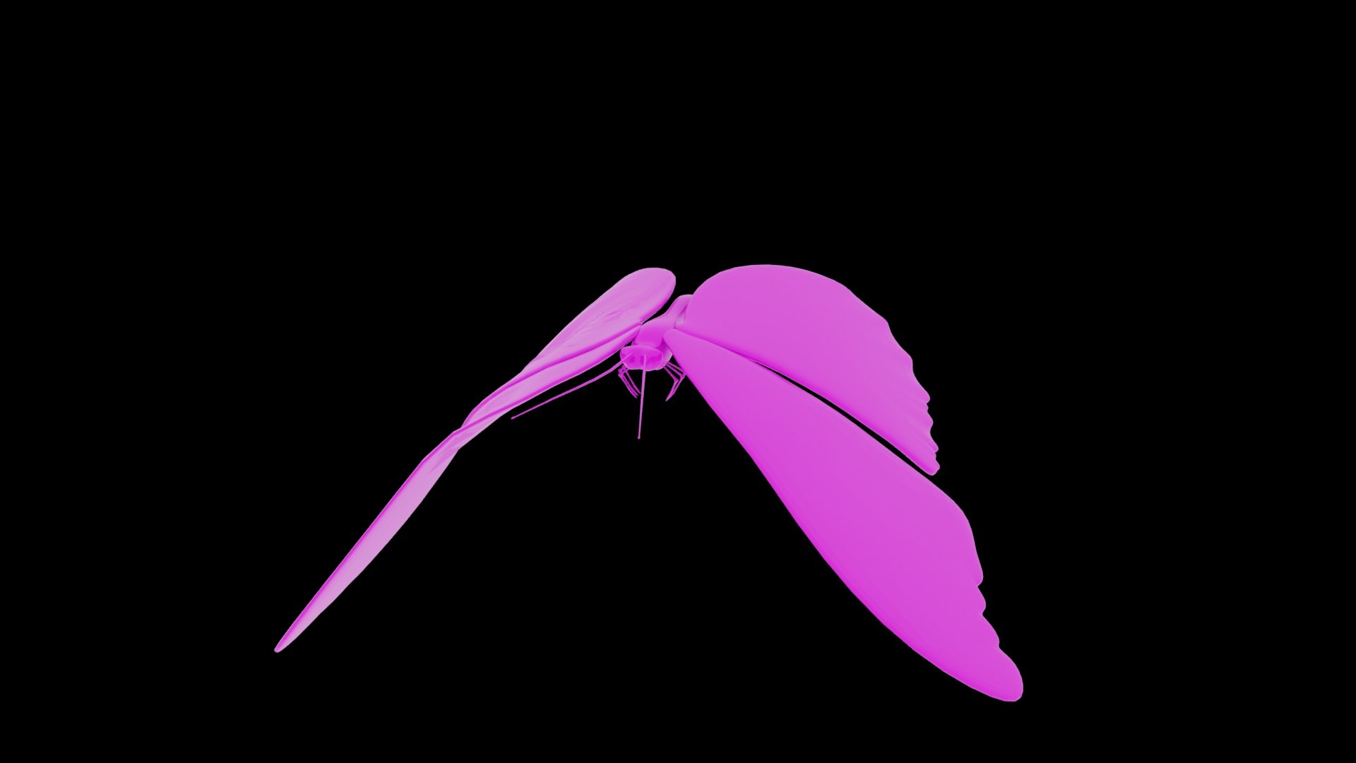 3D Animated Moth Rigged For Maya - TurboSquid 2374677