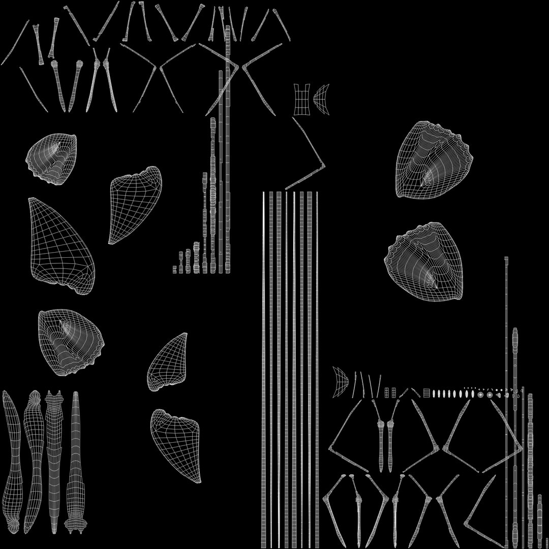 3D Animated Moth Rigged For Maya - TurboSquid 2374677