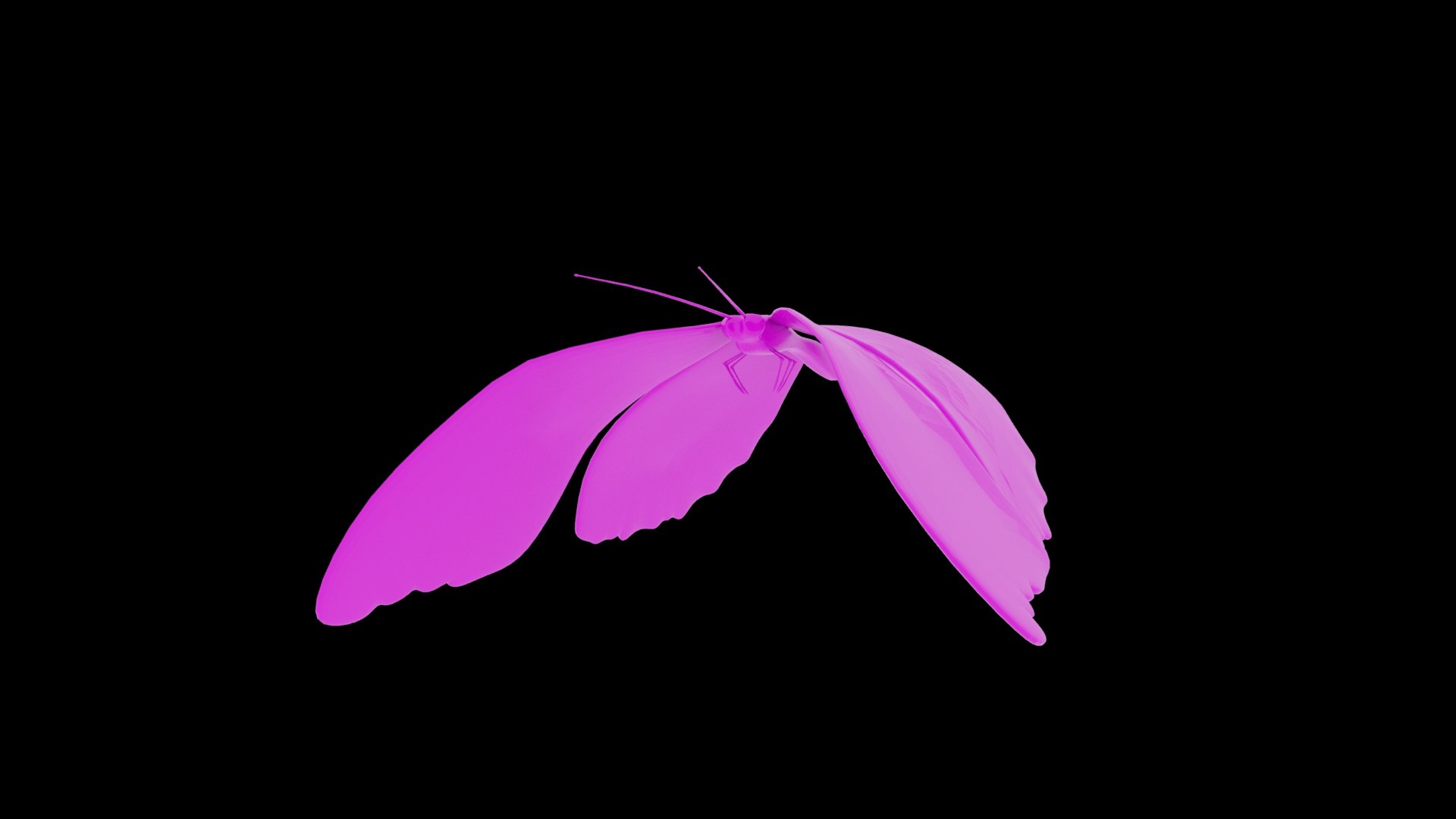 3D Animated Moth Rigged For Maya - TurboSquid 2374677