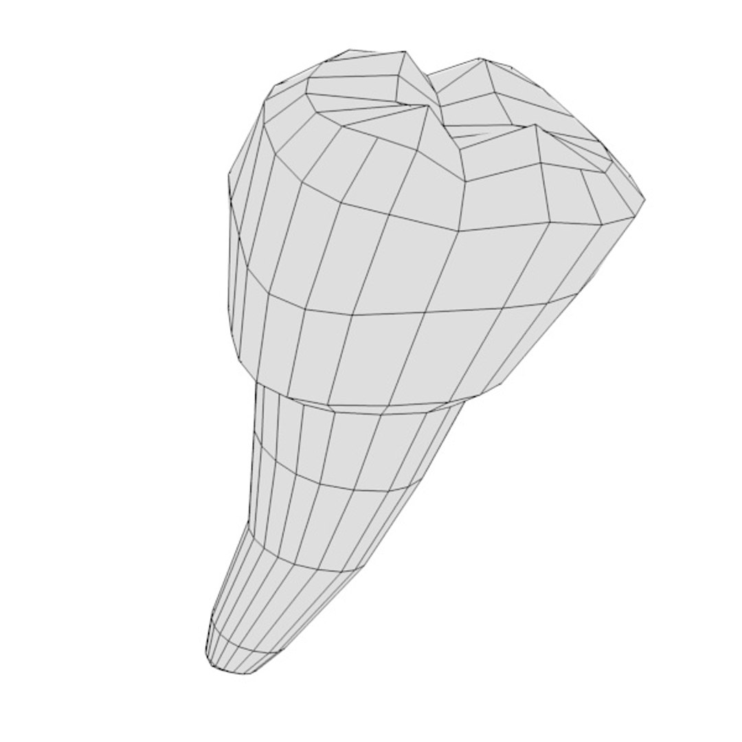 3d Model Of Premolar
