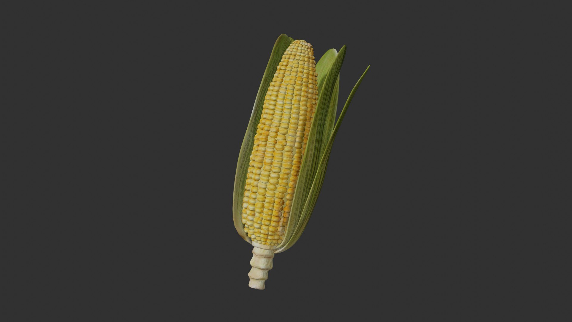 Corn model - TurboSquid 1778928