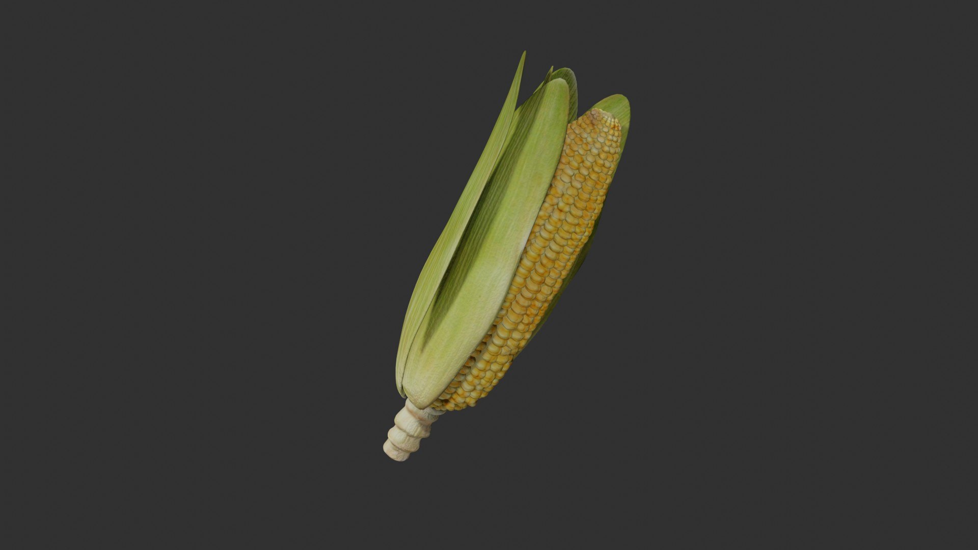 Corn model - TurboSquid 1778928