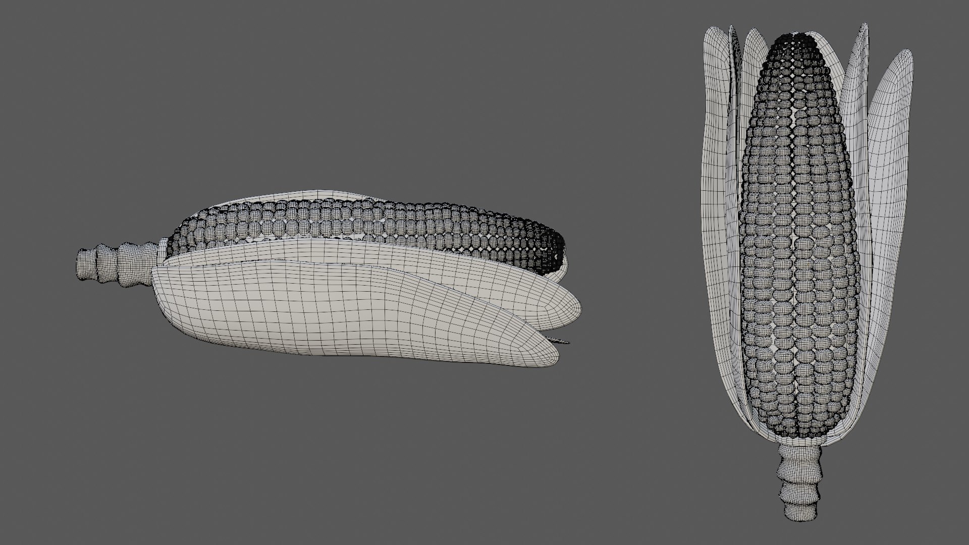 Corn model - TurboSquid 1778928