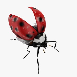 Invertebrate 3D Models for Download | TurboSquid
