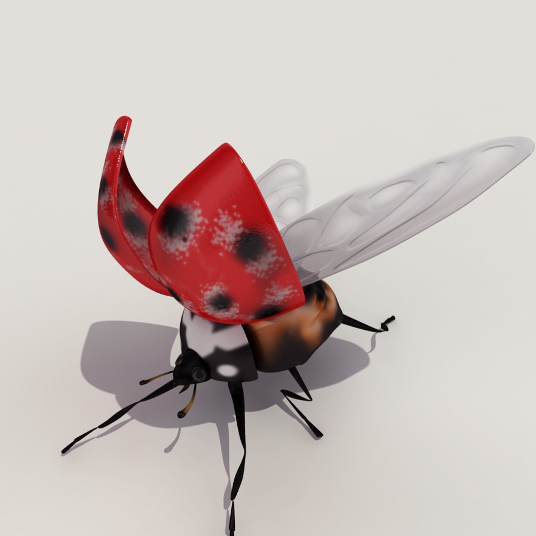 3ds ladybug modelled