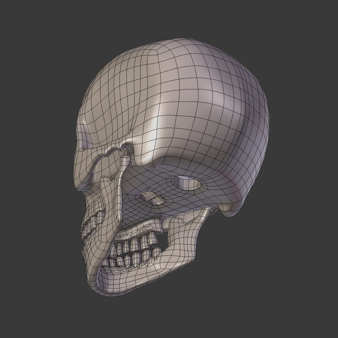 Skull Skul 3D - TurboSquid 1424448