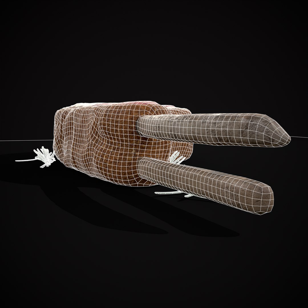 3D Breaded Rack Of Lamb With Rosemary Model - TurboSquid 1985092