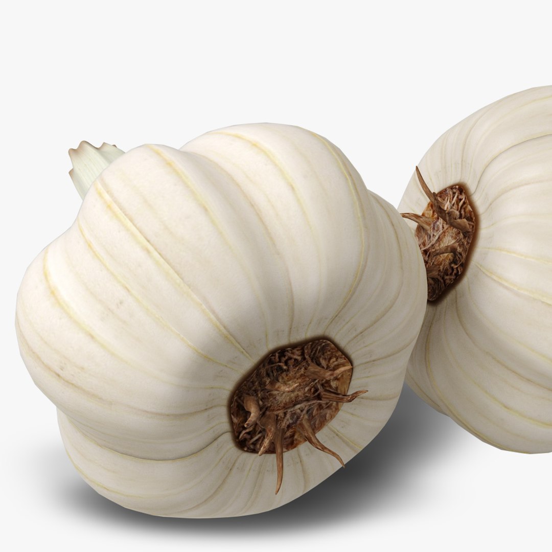 3ds Max Garlic