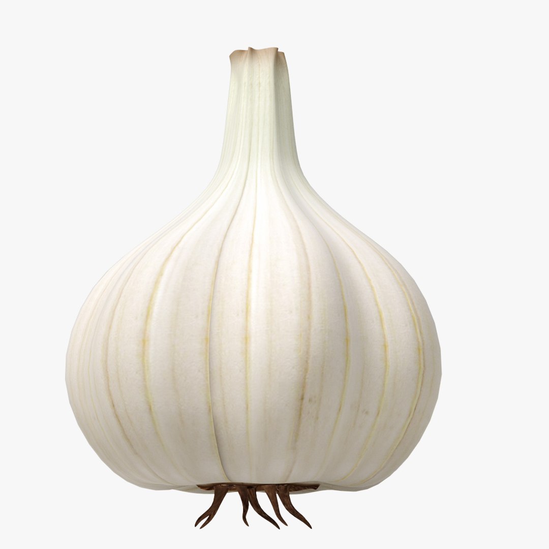 3ds Max Garlic