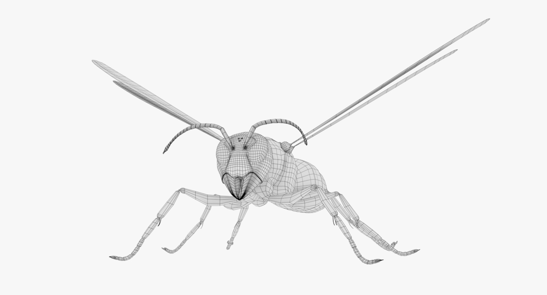 3D Executioner Wasp Model - TurboSquid 1400350