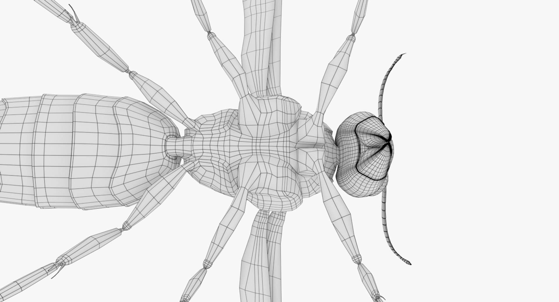 3D Executioner Wasp Model - TurboSquid 1400350