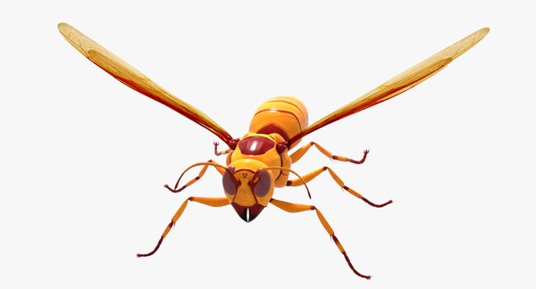 modelo 3d Verdugo verdugo - TurboSquid 1400350