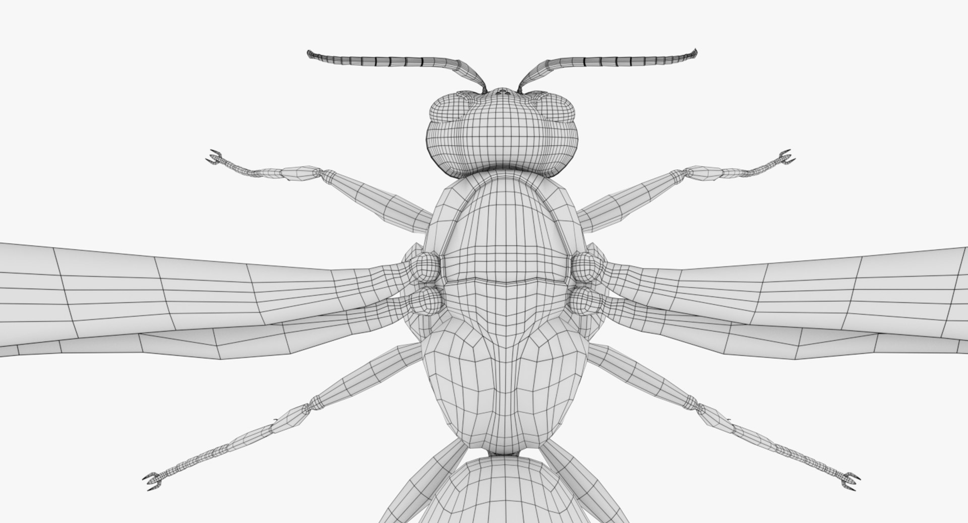 3D Executioner Wasp Model - TurboSquid 1400350