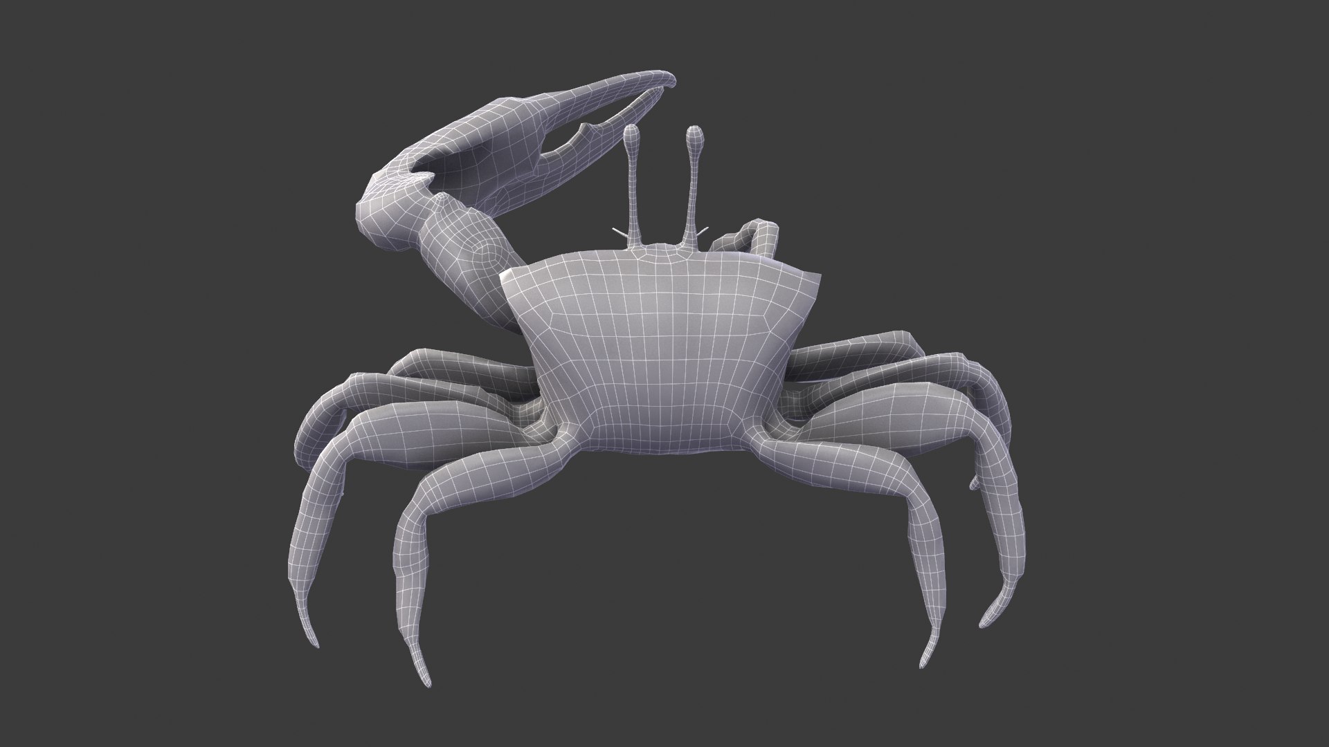 Male Fiddler Crab Rigged And Animated 3D - TurboSquid 1945656