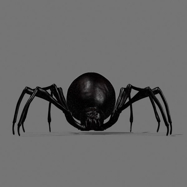 Red spider animation 3D model - TurboSquid 1418667