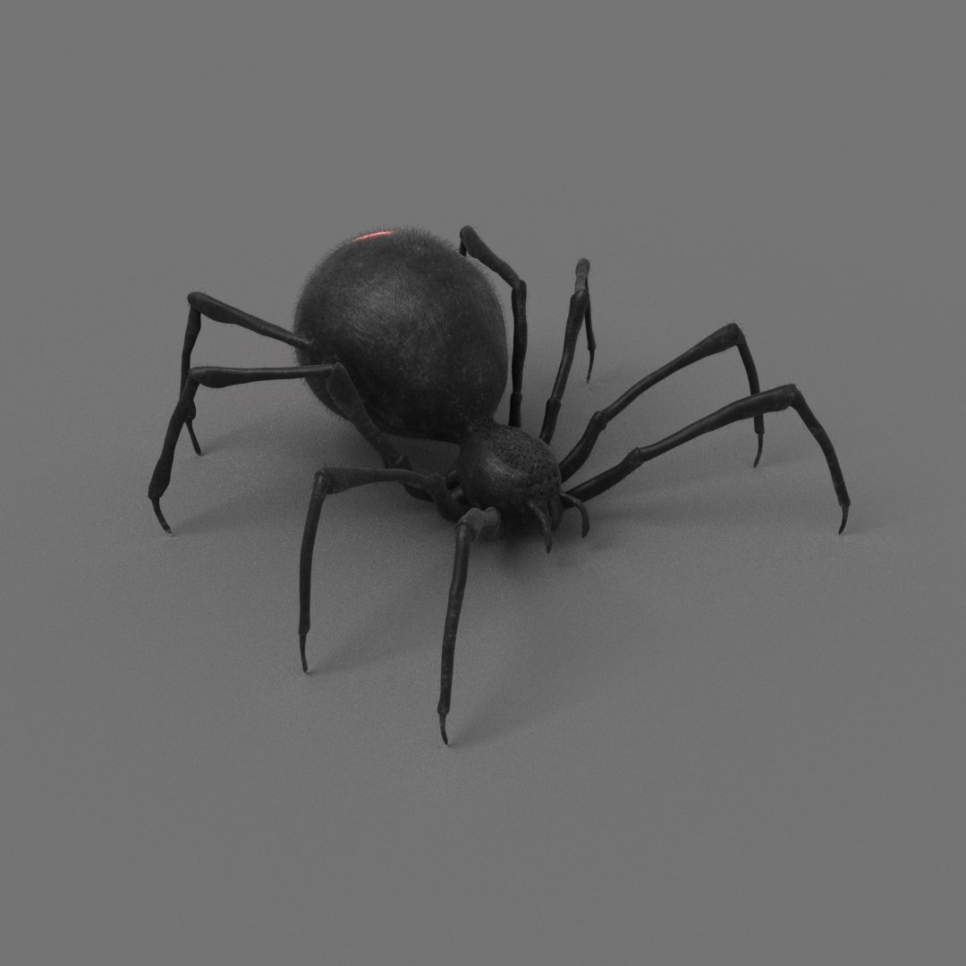 Red Spider Animation 3D Model - TurboSquid 1418667