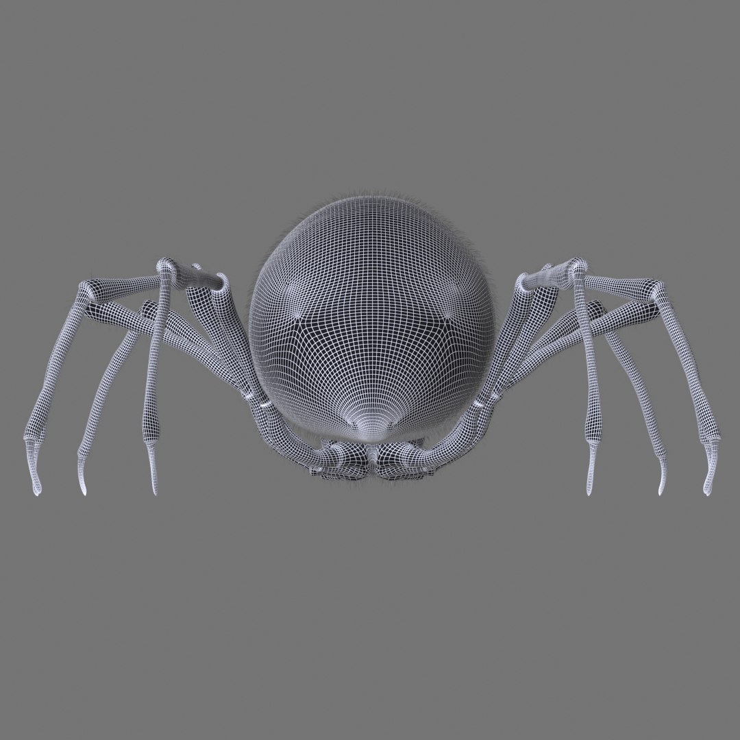 Red Spider Animation 3D Model - TurboSquid 1418667