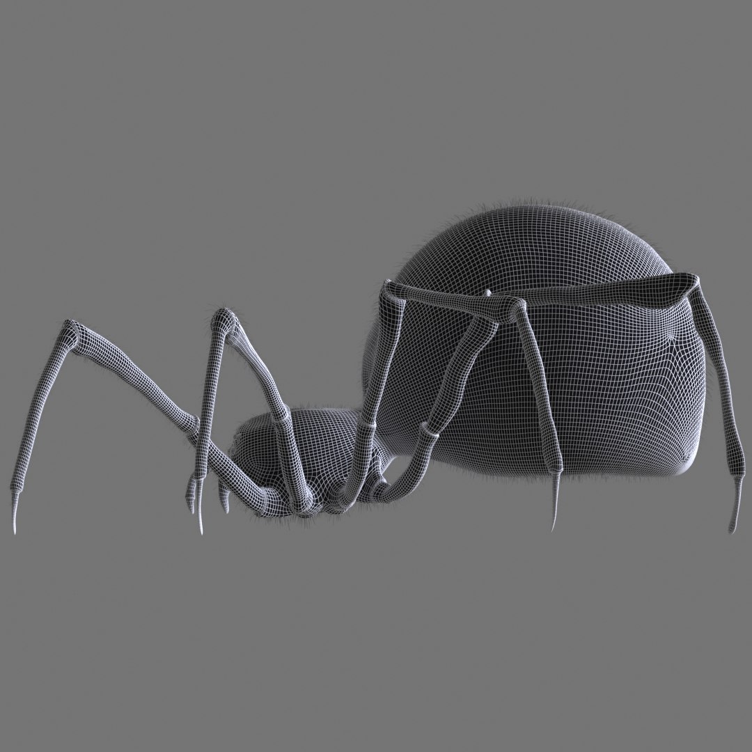 Red Spider Animation 3D Model - TurboSquid 1418667