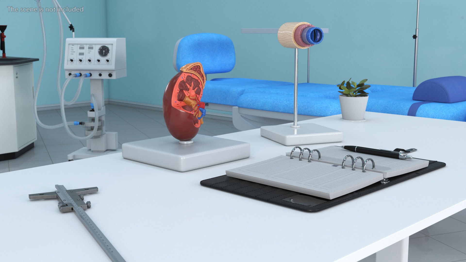 Clinical Educational Anatomy Blood Vessels Model - TurboSquid 2390034