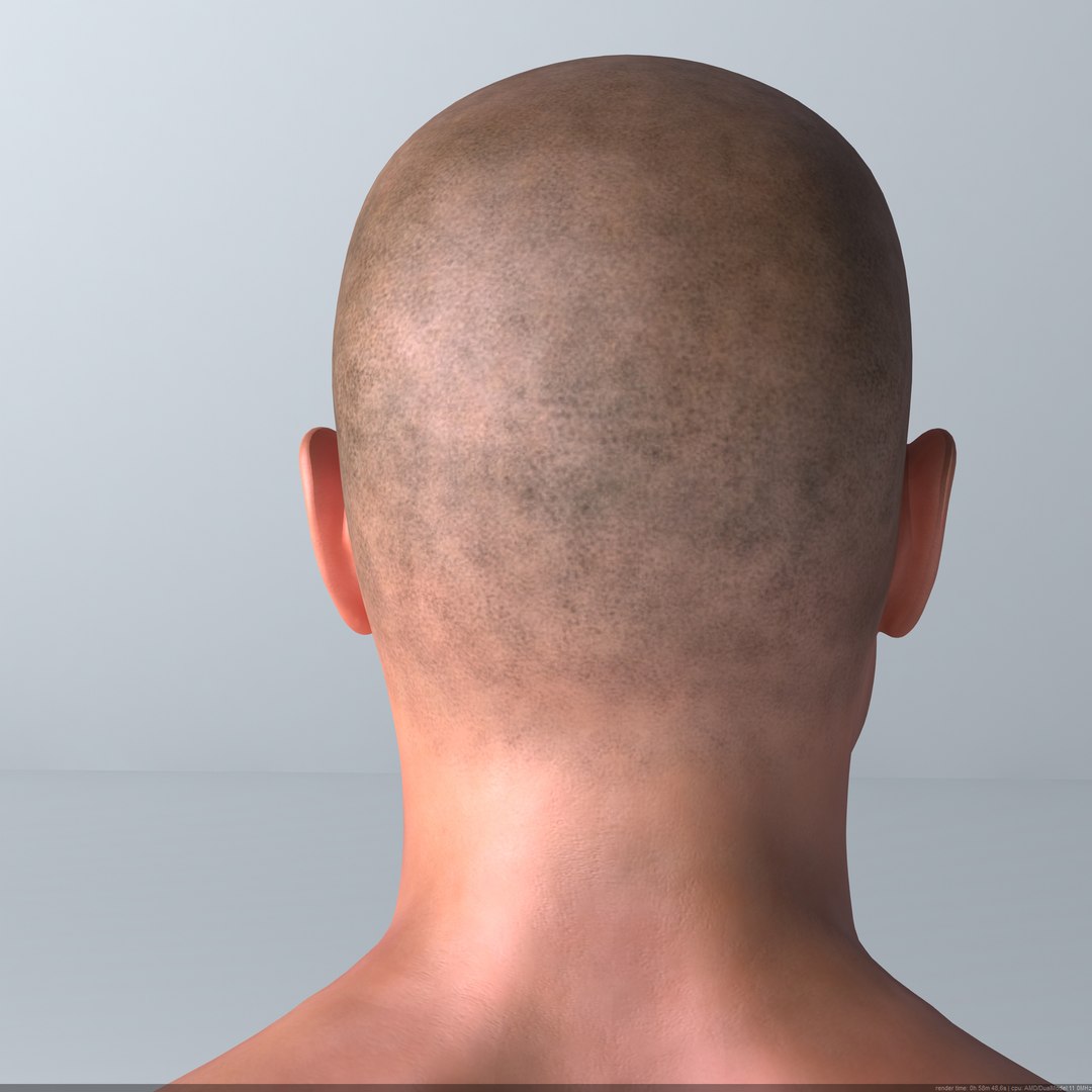 male head human man 3d max