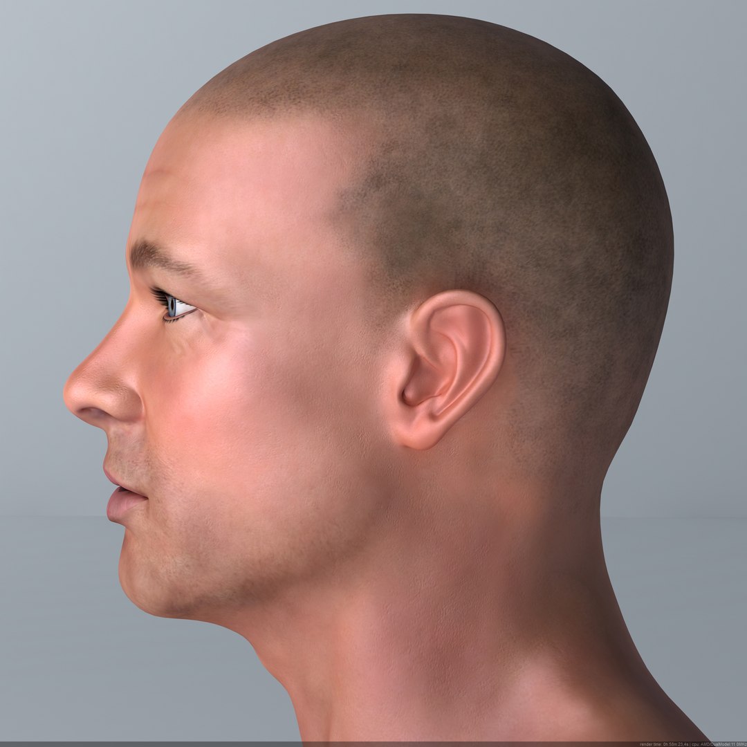 male head human man 3d max
