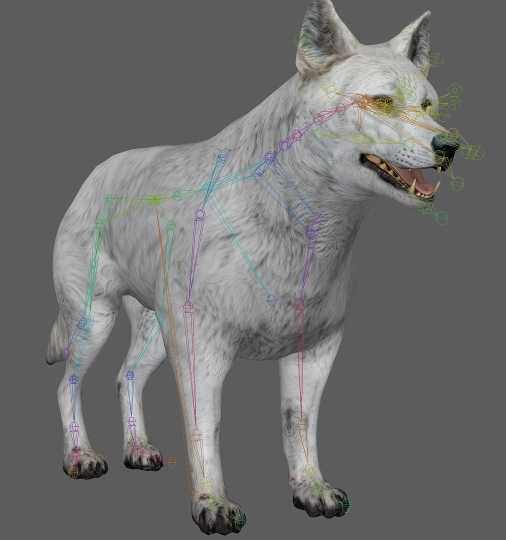 3D Wolf White Arctic - TurboSquid 2223616