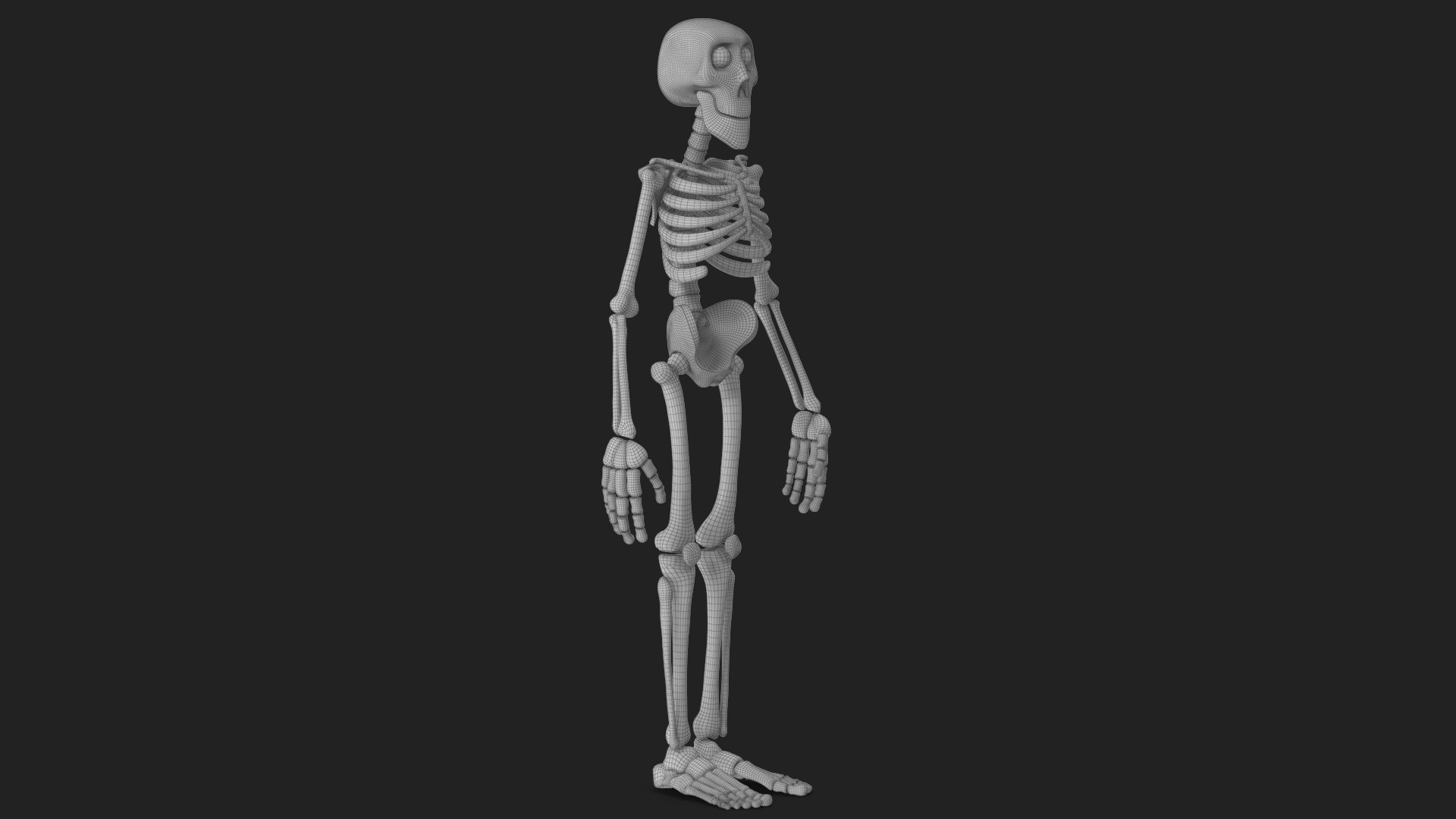 Cartoon Skeleton model - TurboSquid 1738879