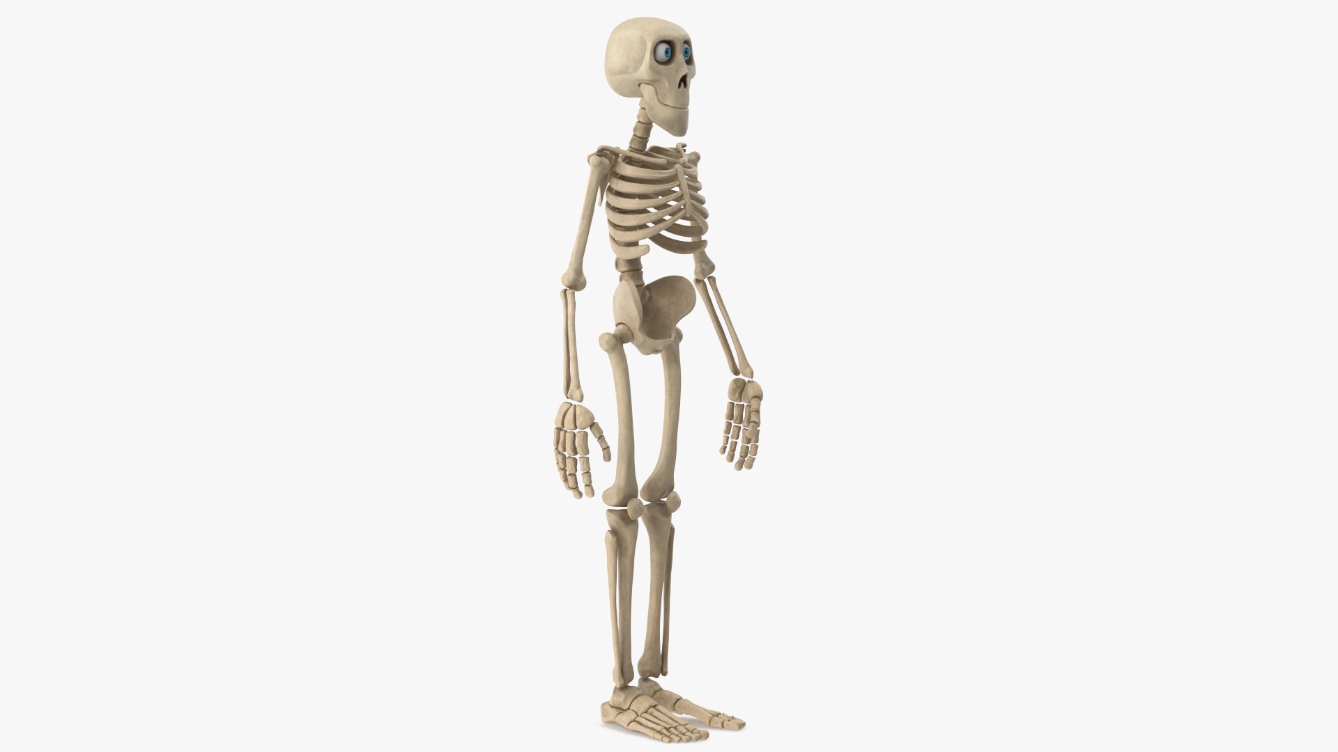 Cartoon Skeleton model - TurboSquid 1738879
