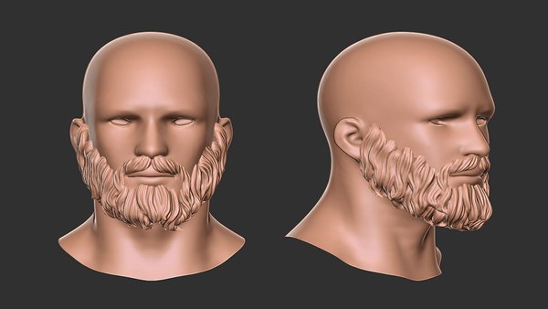 Beard 3D model - TurboSquid 1584602