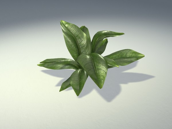 3d model plant house