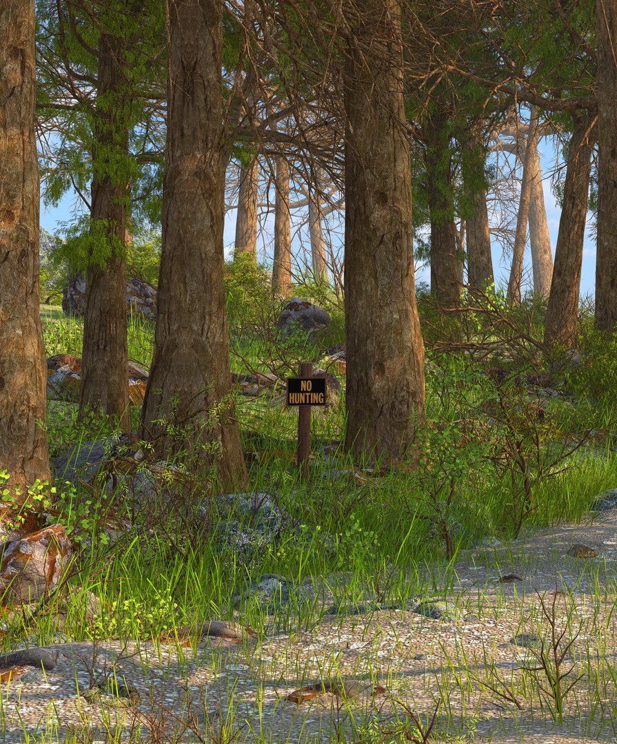 Nature Forest Environment 3D Model - TurboSquid 1734885