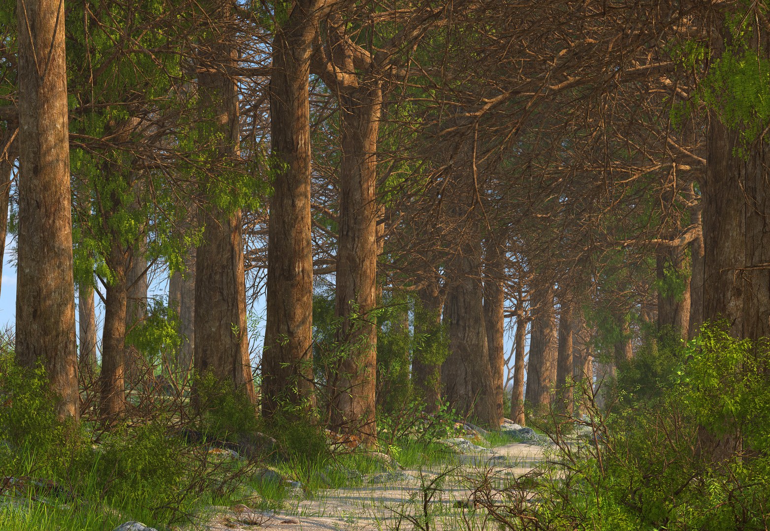Nature Forest Environment 3D Model - TurboSquid 1734885