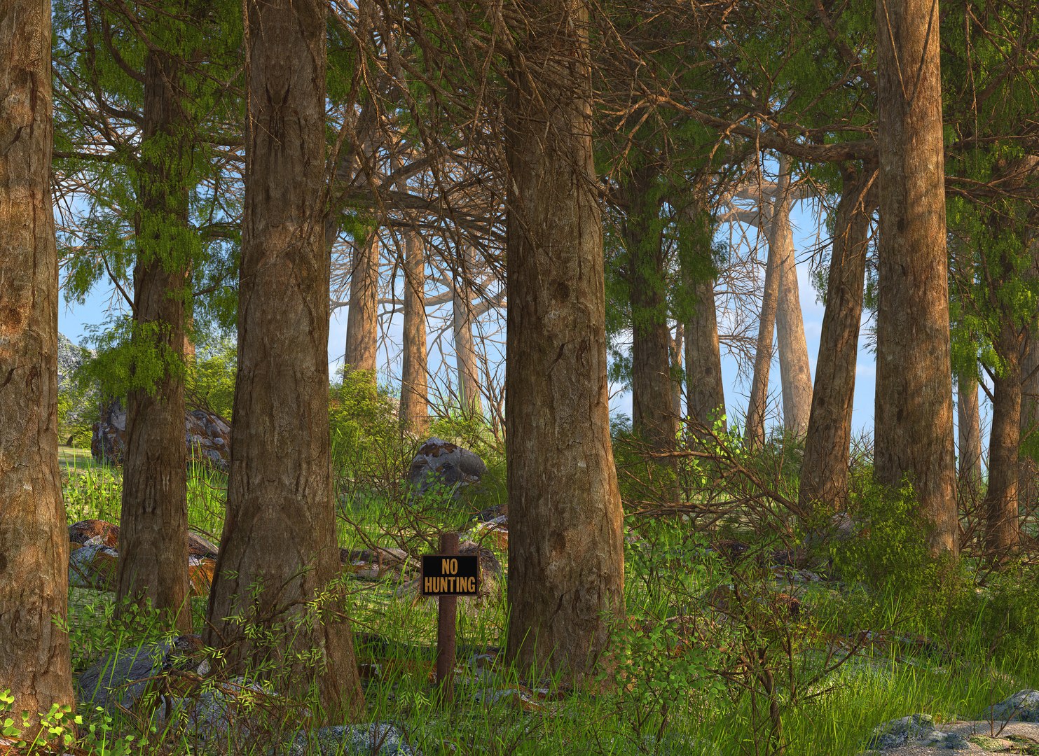 Nature Forest Environment 3D Model - TurboSquid 1734885