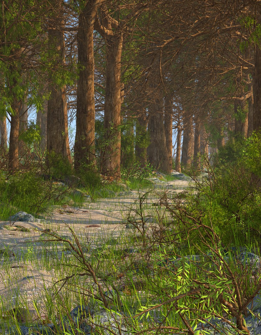 Nature Forest Environment 3D Model - TurboSquid 1734885