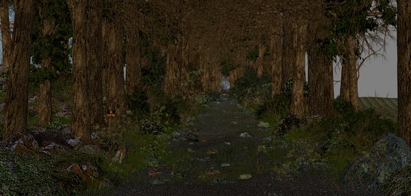 Nature Forest Environment 3D model - TurboSquid 1734885